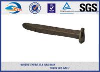 China Customized Track Spikes Screw Track Spikes Railway Fasteners for sale