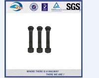 China SGS BV Railway Fastener Hex Head Anchor Bolt HDG Railway Bolts for sale