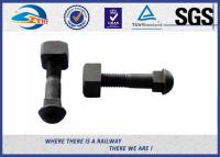 China SGS BV Railway Fastener Hex Head Anchor Bolt HDG Custom Diameter 18mm And 22mm for sale