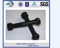 China Customized M12 M14 M16 Durable Half Railway Bolt With Plain Surface for sale