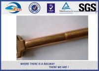 China Railway Sleeper Railway Bolt Speical T Head Long Rod Galvanizing for sale