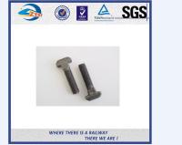 China Raiwaly Grade 8.8 Stainless Steel Bolt And Nut Rail Fastener ISO Certified for sale