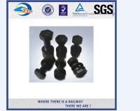 China High Strength Galvanised Bolt And Nut / Rail Bolt With Black Anodize for sale