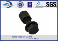 China Hexagon Railway Sleeper Bolts T Head with Nut / Washer M16 HDG Galvanizing for sale
