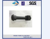 China DIN AREMA GB standard GI nuts and bolt on rails / rail fasteners for sale