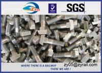 China DIN ASTM GB Standard SKL12 Track Bolt Railway T-Bolt HS32 customized Grade 4.6/4.8/5.6/5.8/8.8 for sale