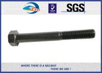 China High Tensile Railway HEX Bolt DIN Stardard ASTM Standard Hot Dip Zinc Customize for sale