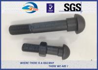 China Railway Track Fasteners Railroad Bolts Railway Track Fittings 45# Grade 8.8 for sale