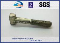 China Q235 35# Fastener Railway Bolt Standard Bolts And T-Shaped Fasteners for sale
