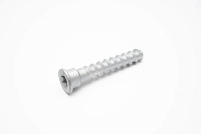 China Torx Anti Theft Screw Spike Internal Plum Blossom Railway Spike Weather Resistant for sale