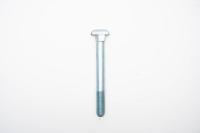China 22x186 High Strength Rail T Bolt DIN Standard T Head Bolt For Railway Construction for sale