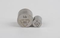China Customized Special 0.3mm Recycling Insert Mold Date Insert 100% Inspection Mold Date Inserts for sale