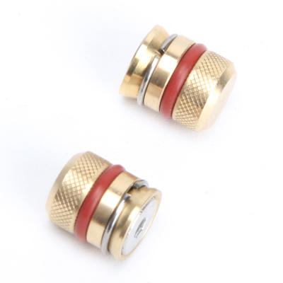 China TTBP Plastic Injection Mold Parts D6 D8 D10 Cooling Circuit Plugs for sale