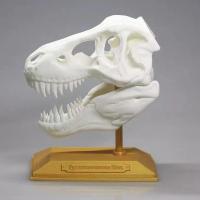 China Industrial SLS 3D Plastic Printing Service with 300+ Equipment Capacity for Custom OEM Prototyping for sale