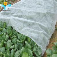 China Agricultural PP Spunbond Non Woven Agriculture Cloth Splicing Extra Width for sale