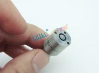 China ERIKC DLLA133P 2491 Diesel Fuel Injection Nozzle for Bosch Fire Fighting Spray 30g for sale