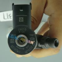 China ERIKC INBEI 0445110317 Diesel Fuel Injector for BOS 0 445 110 317 NISSAN Paladin 2.5D for sale