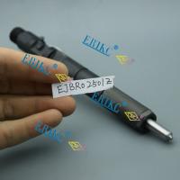 China EJBR0 2501D fuel injector manufacture EJBR02501D and EJB R02501D for sale