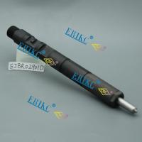 China KIA 33801-4X800 Delphi Common Rail Injector for Hyundai EJB R02901D 600g for sale