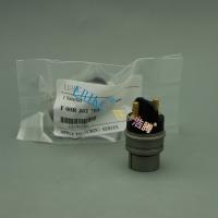 China ERIKC F00VC30058 Diesel Solenoid Valve for Common Rail Injector 70g CE ISO9001 for sale