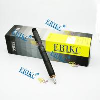 China EJBR01901Z del-phi common rail injector EJB R01901Z daf injector pump EJBR0 1901Z for sale