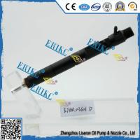 China Delphi EJBR03601D Common Rail Injector EJB R03601D 220g Diesel Fuel Injector for sale