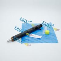 China Delphi EJBR03601D Common Rail Injector EJB R03601D 220g Diesel Fuel Injector for sale