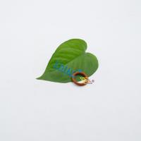 China Oil Resistance O-Ring E1024010 Abrasion Resistant Encapsulated EPDM Sealing Strip for Diesel Injectors for sale