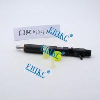 China Nissan Delphi Common Rail Injector EJBR01201Z 1201Z Fuel Injector for Delp EJB R01201Z for sale