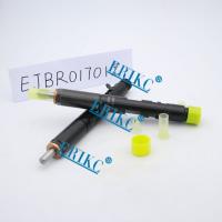 China Original Delp Injector EJBR01701Z R01701Z 8200365186 for Renault 1701Z Common Rail for sale