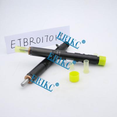 China Original Delp Injector EJBR01701Z R01701Z 8200365186 for Renault 1701Z Common Rail for sale