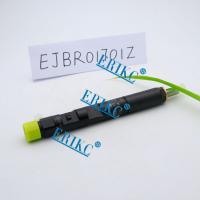 China Original Delp Injector EJBR01701Z R01701Z 8200365186 for Renault 1701Z Common Rail for sale