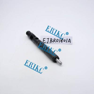 China Fuel Injector Assy EJBR01801A for Nissan Renault Delphi Common Rail 8200365186 for sale