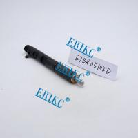 China DACIA DAF EJBR05102D Fuel Injector Assembly for Delphi Common Rail Injector EJB R05102D for sale