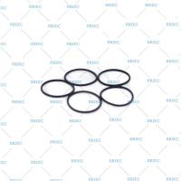 China silicone sealing ring E1024011 Solenoid valve rubber o ring / For BOS sealing o-ring for sale