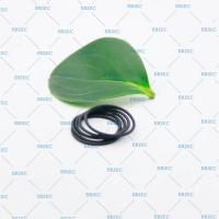 China silicone sealing ring E1024011 Solenoid valve rubber o ring / For BOS sealing o-ring for sale