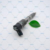 China ERIKC 0445110417 Common Rail Diesel Injector for BOS 0 445 110 417 160MPa Fuel Injection for sale