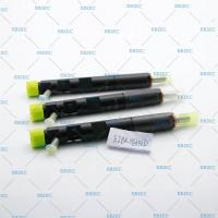 China Common Rail Injector EJBR05301D F50001112100011 for YUCHAI Delp 5301D 4 Cylinder for sale