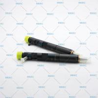 China Common Rail Injector EJBR05301D F50001112100011 for YUCHAI Delp 5301D 4 Cylinder for sale