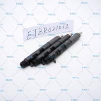 China Nissan EJB R02101Z Diesel Fuel Injector EJBR02101Z 8200240244 for Renault Delphi Rebuild for sale