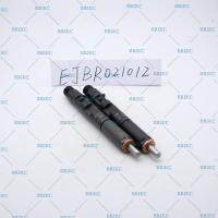 China Nissan EJB R02101Z Diesel Fuel Injector EJBR02101Z 8200240244 for Renault Delphi Rebuild for sale