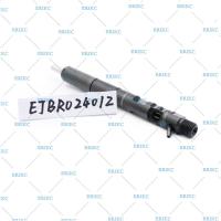 China EJBR02401Z Delp Common Rail Injector for KIA Diesel Engine 2401Z for sale