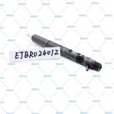 China EJBR02401Z Delp Common Rail Injector for KIA Diesel Engine 2401Z for sale