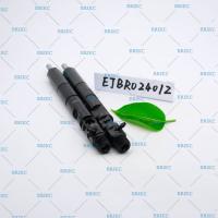 China EJBR02401Z Delp Common Rail Injector for KIA Diesel Engine 2401Z for sale