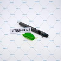 China EJBR02401Z Delp Common Rail Injector for KIA Diesel Engine 2401Z for sale