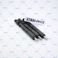 China EJBR02401Z Delp Common Rail Injector for KIA Diesel Engine 2401Z for sale