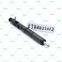 China Delphi Common Rail Injector EJBR02501Z Original ERIKC Diesel Fuel Injector for sale