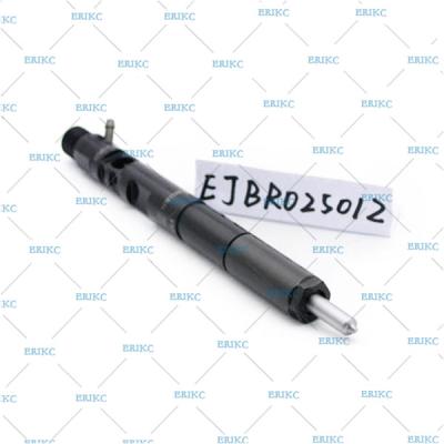 China Delphi Common Rail Injector EJBR02501Z Original ERIKC Diesel Fuel Injector for sale