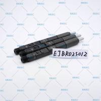 China Delphi Common Rail Injector EJBR02501Z Original ERIKC Diesel Fuel Injector for sale