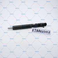 China Delphi Common Rail Injector EJBR02501Z Original ERIKC Diesel Fuel Injector for sale